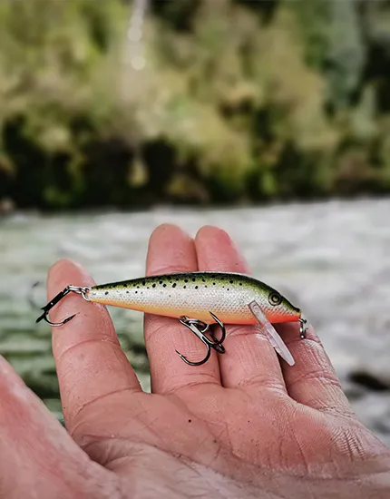 CATALOGO – Rapala Chile